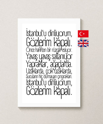 TURKEY POSTERS – Dem Turkish Center