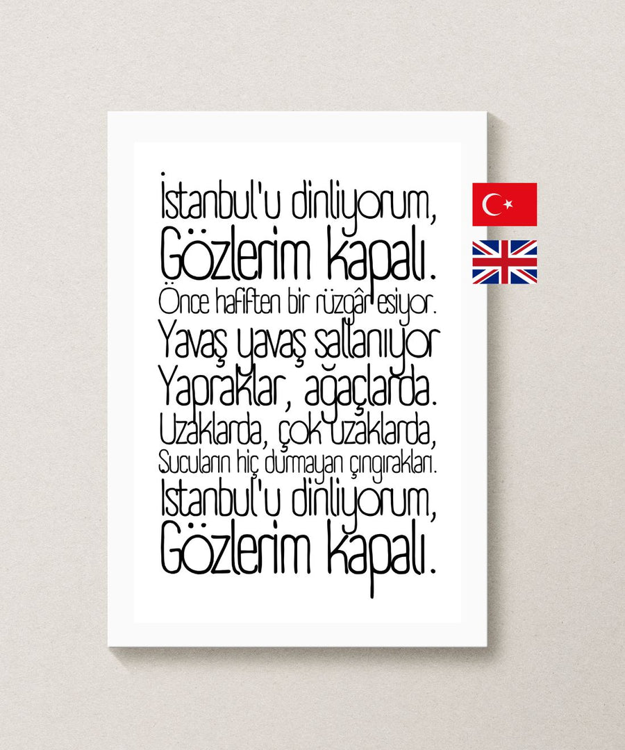 TURKEY POSTERS – Dem Turkish Center